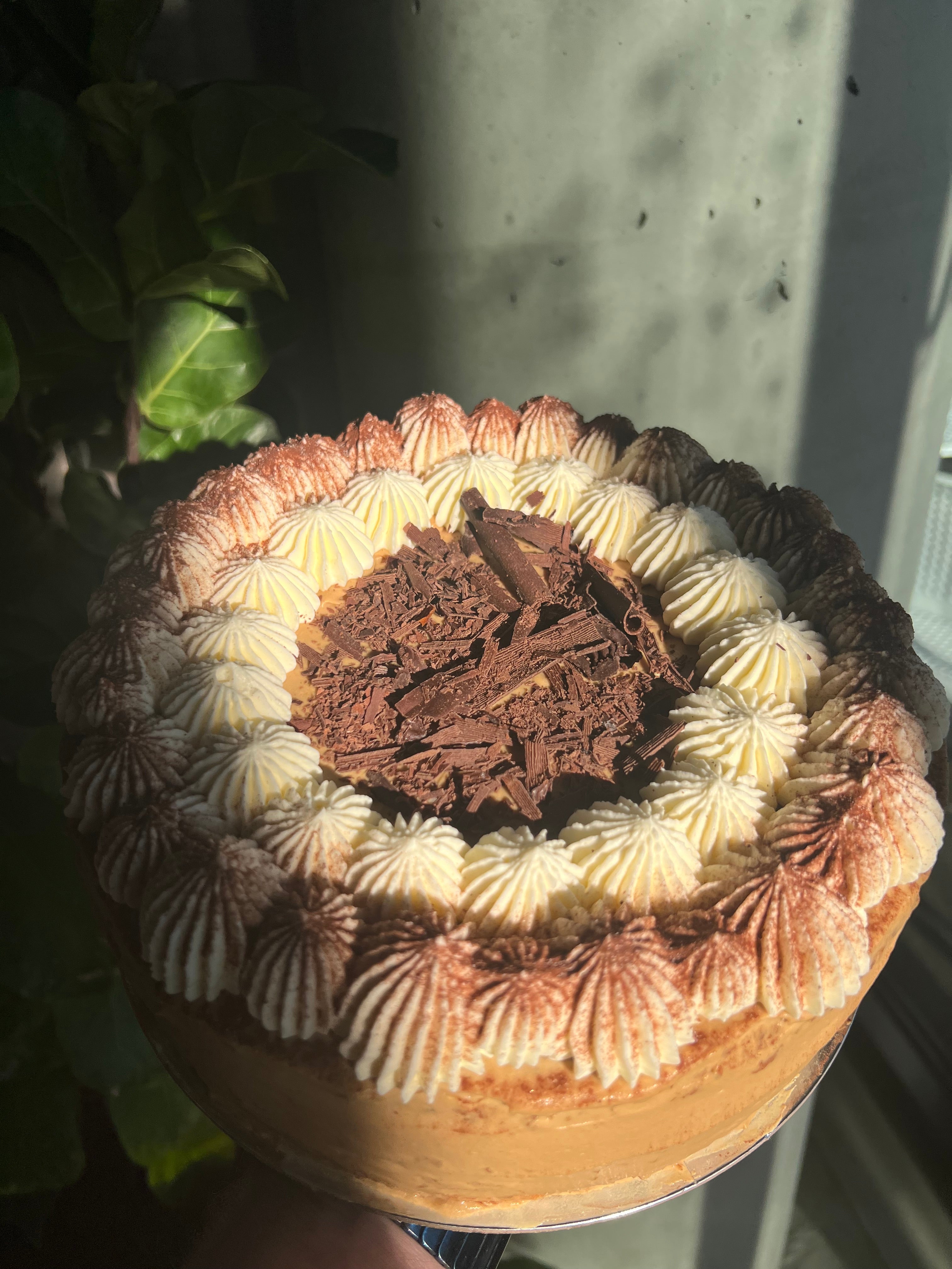 Tiramisu Cake | Motte