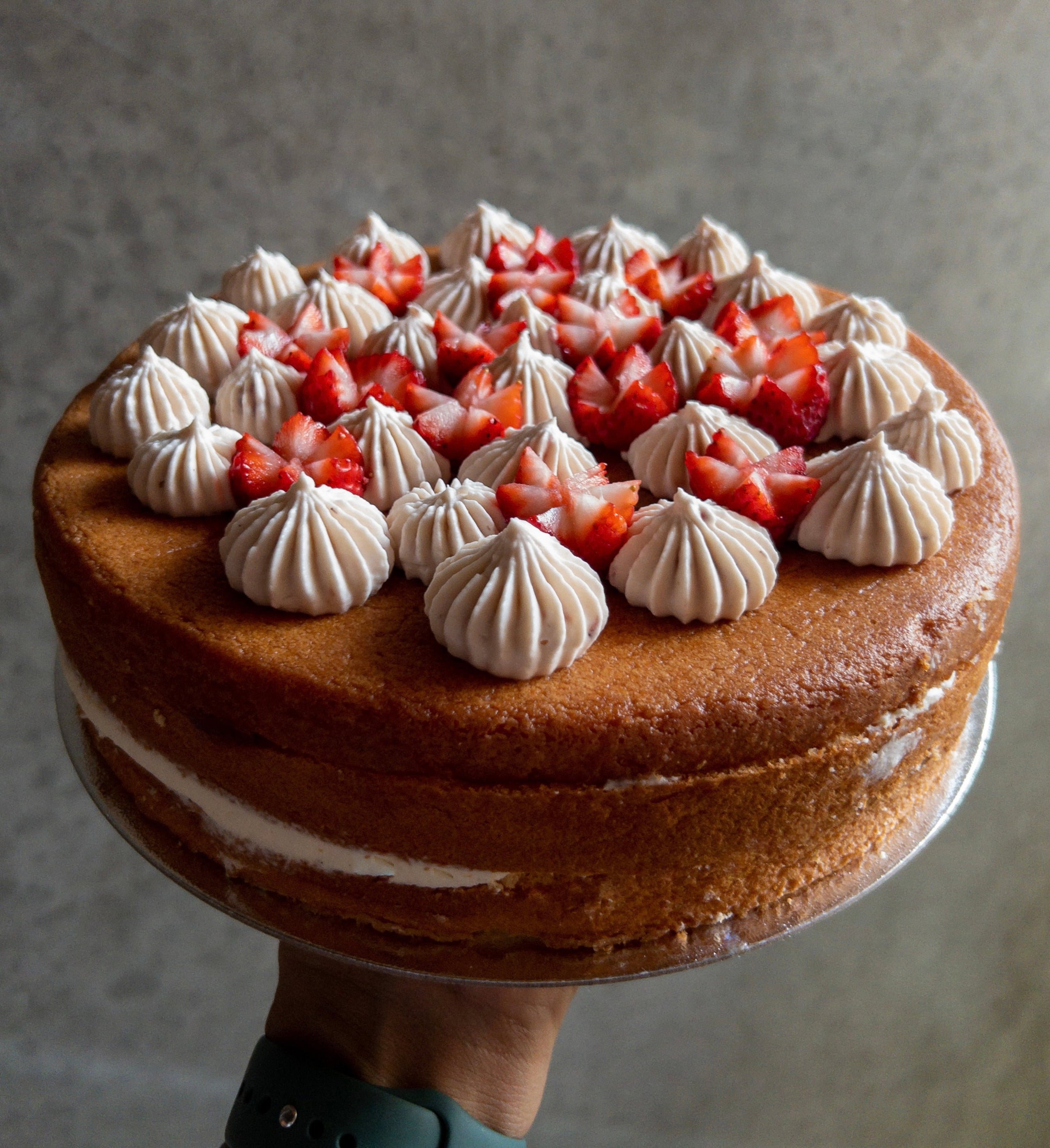 Strawberry Sponge Cake | Motte